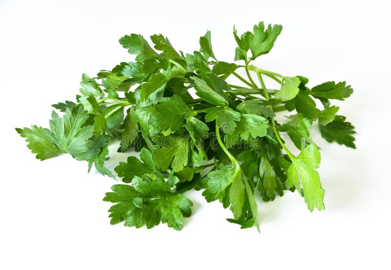 Prezzemolo fresco immagine stock. Immagine di mazzo, vitamina - 48378701