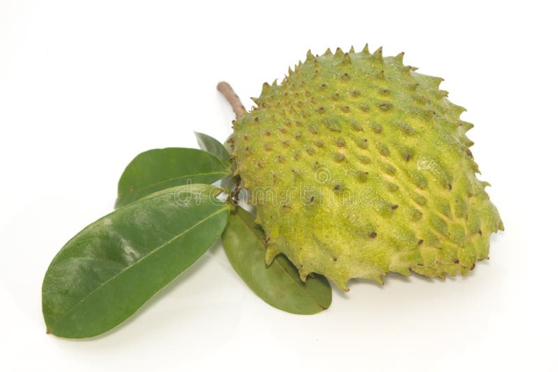 Prickly Custard Apple Fruit. (Annona Muricata L Stock Image - Image of ...