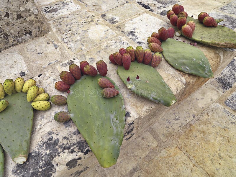 Prickly figs on the stone stock image. Image of foodfruitprickly - 33639143