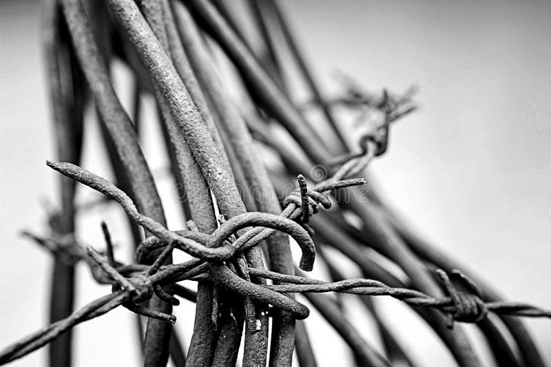 Prickly metal rods stock photo. Image of strength, iron - 170138092