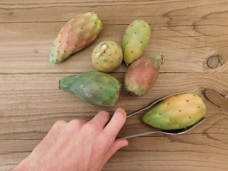 Prickly pear to eat stock photo. Image of opuntia, pear - 64053100