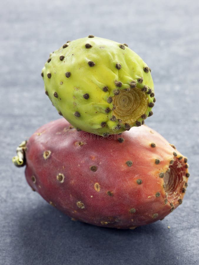 Prickly pears stock image. Image of classical, exotic - 23707867