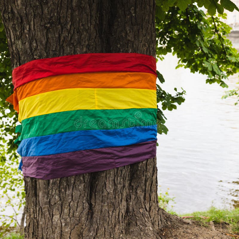Pride LGBTQ Rainbow Flag Wrapped Around Tree Trunk in Park Stock Photo ...