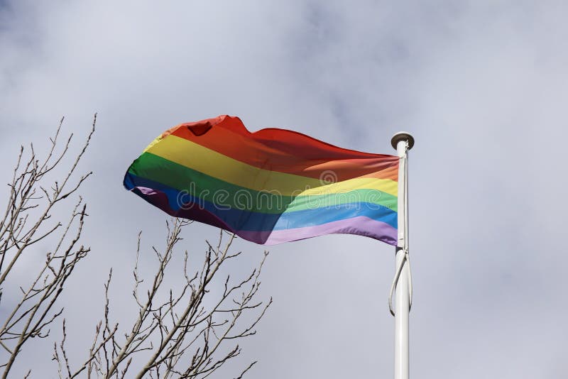 Pride Rainbow Flag Gai Sur Grey Sky Background Image stock - Image du ...