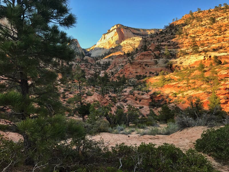 Pride Rock stock photo. Image of hike, canyon, travel - 92734884