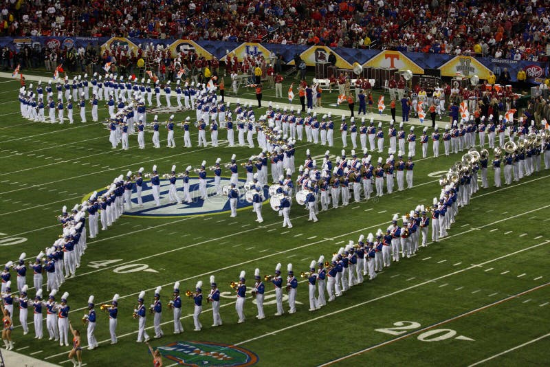 Pride of the Sunshine State Editorial Stock Photo - Image of swamp ...