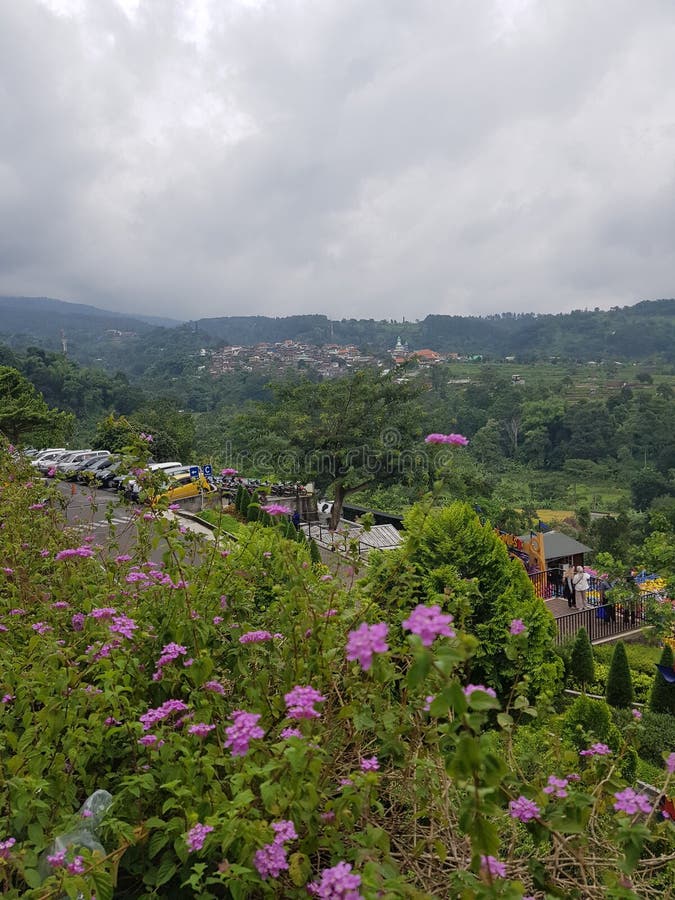 Prigen village stock photo. Image of prigen, land, village - 265147980