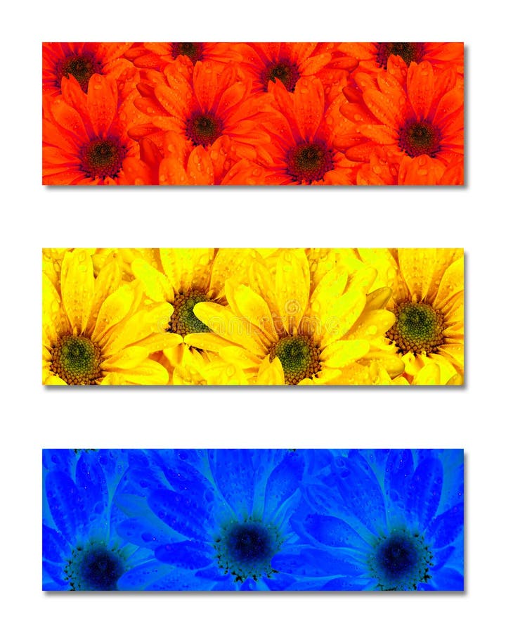 Primary Colors Abstract Art Flowers Stock Illustration - Illustration ...