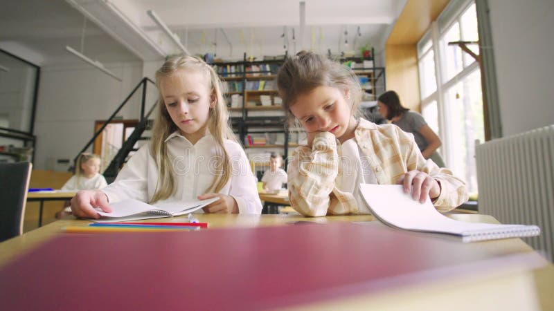 In a Primary School Classroom: Portrait of Two Classmates Sitting at ...