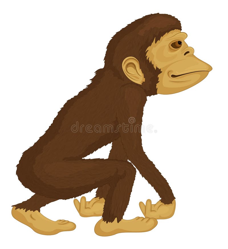 Primata Ilustrações, Vetores E Clipart De Stock – (23,006 Stock ...