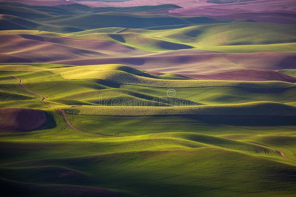 Primavera de Rolling Hills imagen de archivo. Imagen de resorte - 118460955