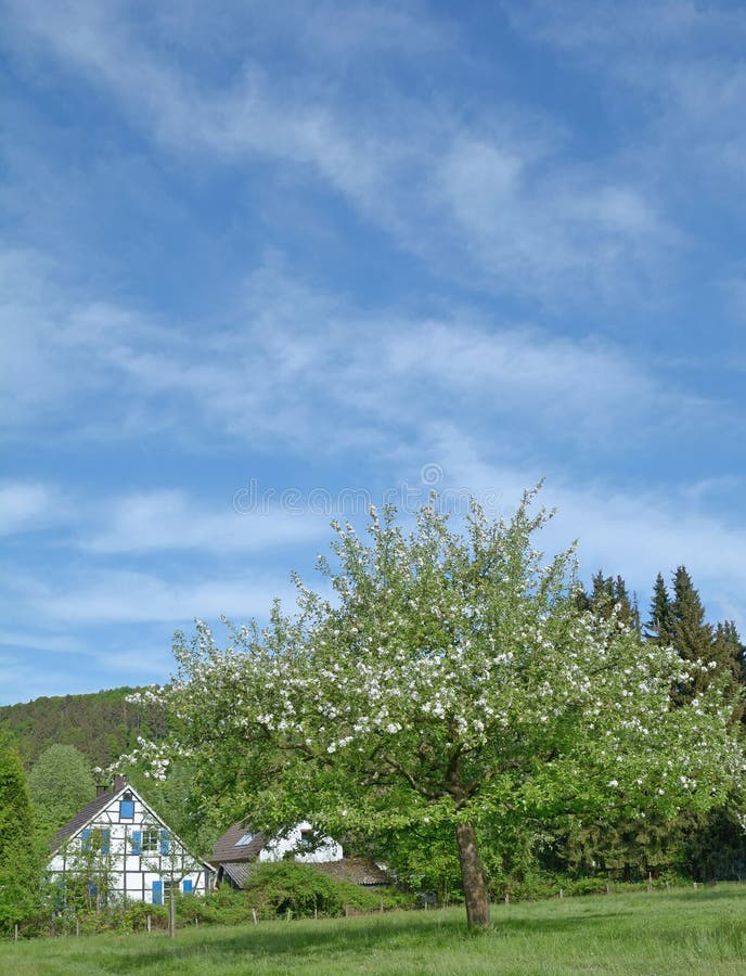 Primavera Na Terra De Bergisches Em Solingen, Alemanha Foto de Stock ...