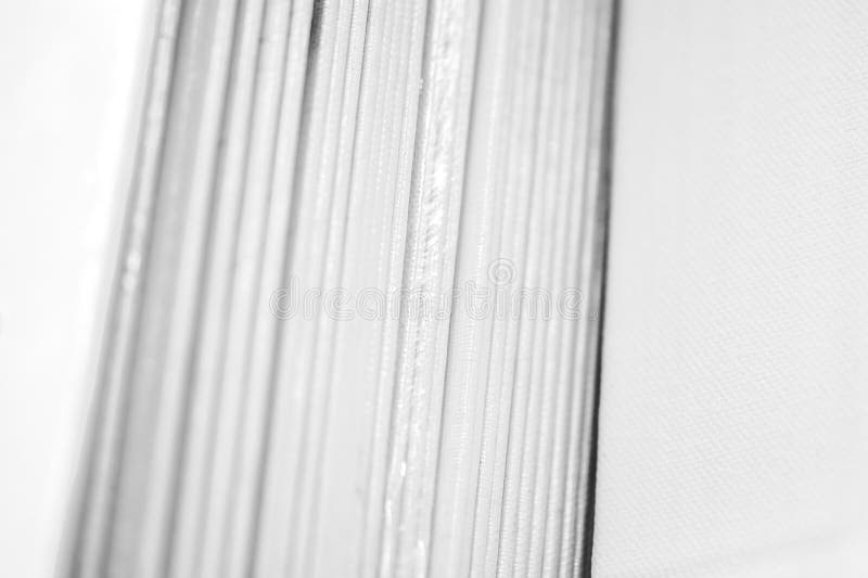 Primed Canvas Panel. Paper Samples for Printing House Stock Photo ...