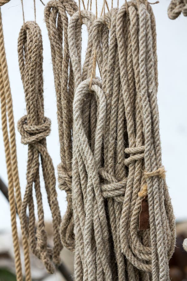 Primer De La Cuerda Con El Nudo Imagen de archivo - Imagen de ...