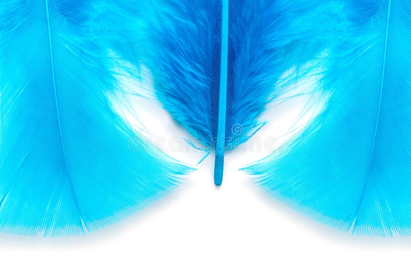 Primer De La Pluma Azul Aislado En Blanco Imagen de archivo - Imagen de ...