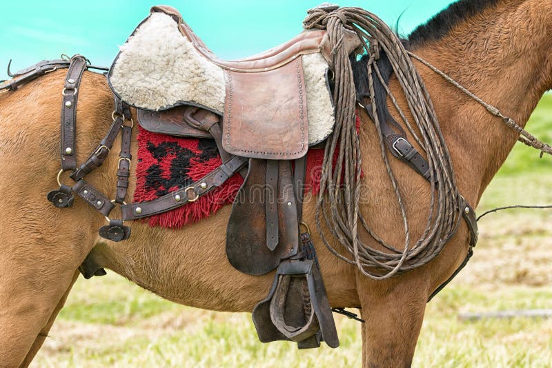 Primer De La Silla De Montar Del Caballo En Ecuador Foto editorial ...