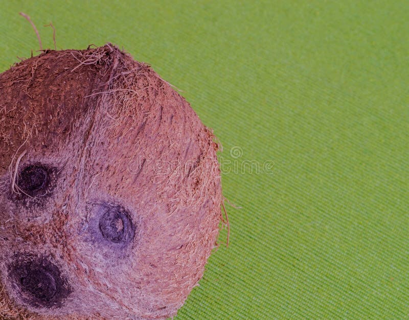 Primer De Un Coco Entero De La Fruta Tropical Foto de archivo - Imagen ...