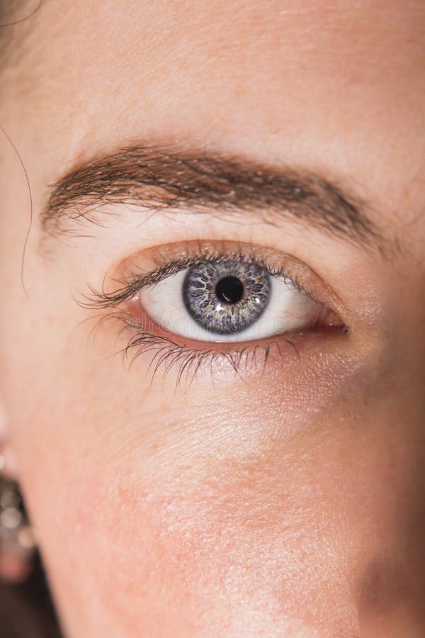 Primer De Un Ojo Humano Gris Imagen de archivo - Imagen de gris ...