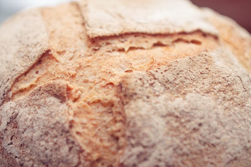 Primer De Un Pan Del Levain Imagen de archivo - Imagen de corteza ...