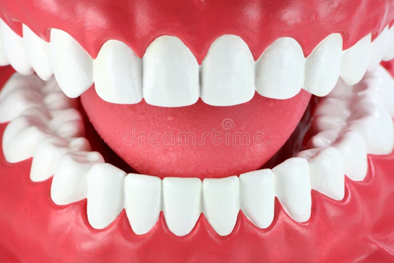 Primer De Una Boca Con Los Dientes Blancos Limpios Foto de archivo ...