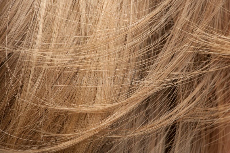 Primer del pelo humano imagen de archivo. Imagen de pelo - 12910887