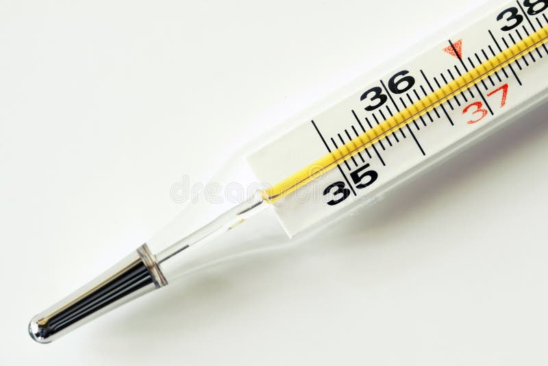Primer Del Termómetro En Blanco Imagen de archivo - Imagen de servicios ...