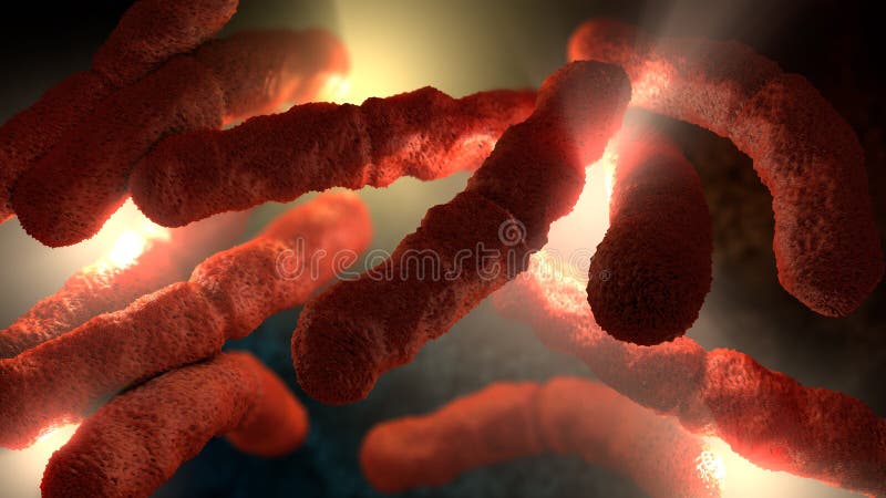 Primer Extremo De Bacterias Barra-formadas Coloreadas Rojas Imagen de ...