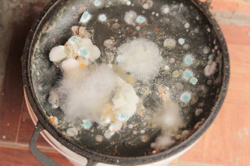 Concepto Aislado Residuos Orgánicos Putrefactos Foto de archivo ...