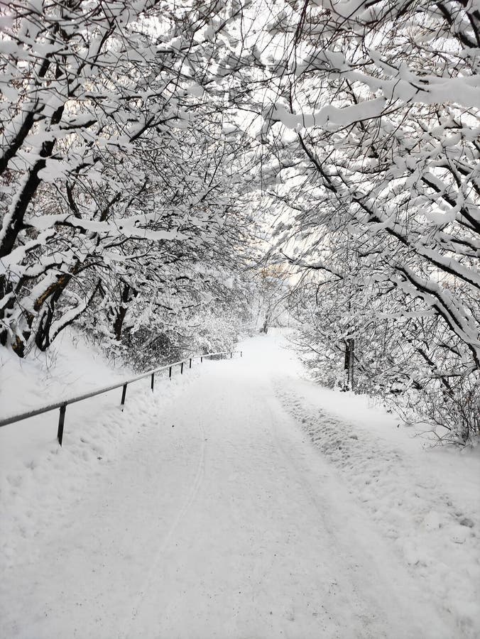 Primera nevada imagen de archivo. Imagen de diciembre - 262000691