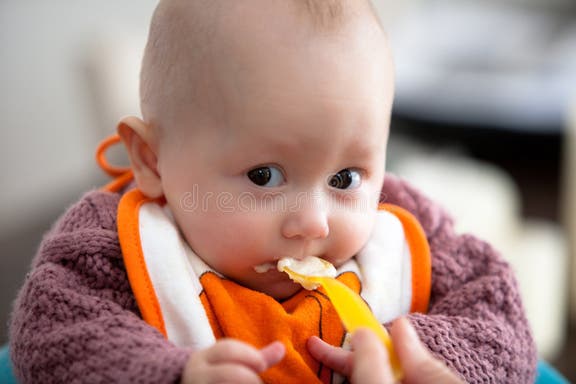 Las Primeras Comidas Del Bebé Imagen de archivo - Imagen de comer ...