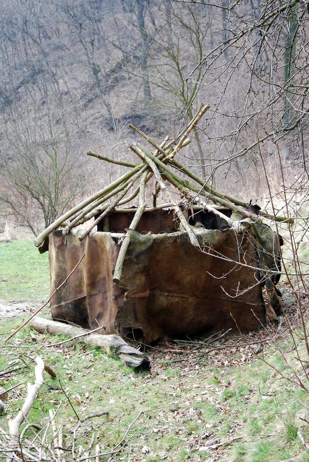 Primeval stock image. Image of stick, crib, wood, forest - 8671337