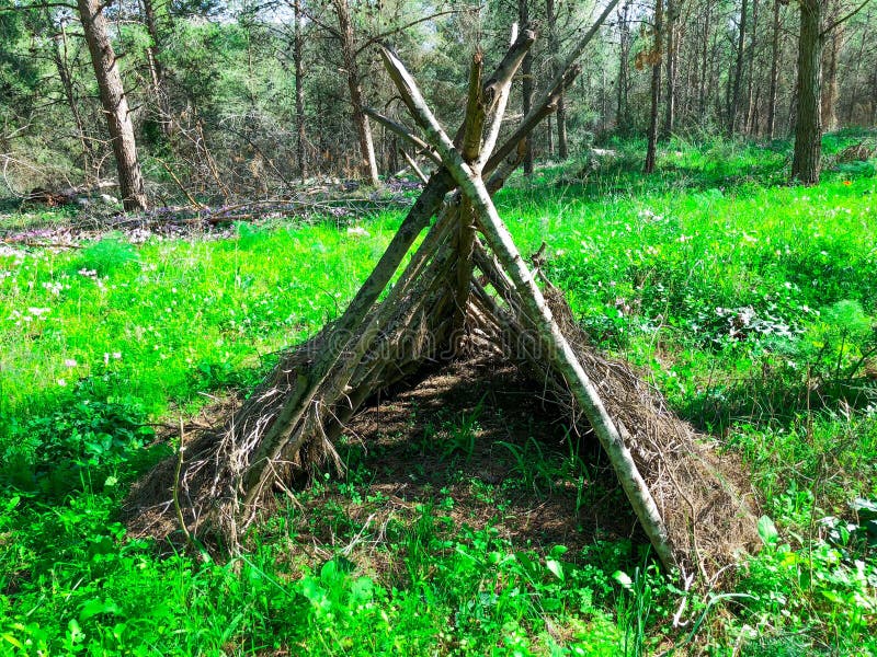 Primitive Branch Hut in the Woods of the Forest Stock Photo - Image of ...
