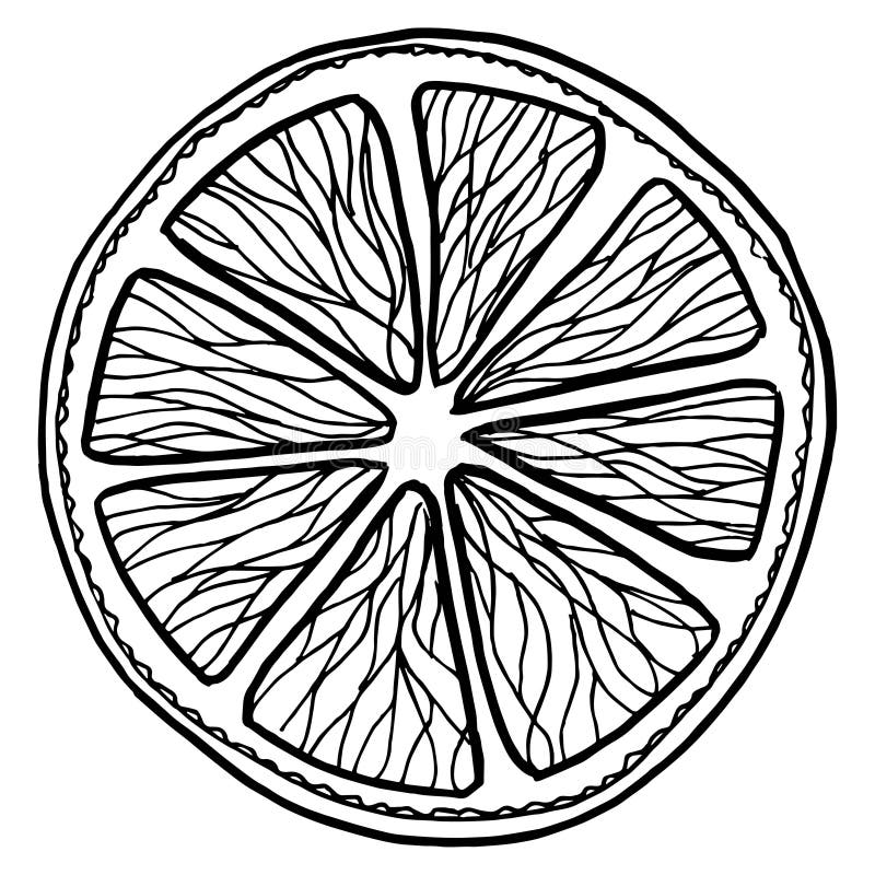 Primitive Cute Orange Slice Outline, Flat Vector Illustration Stock ...