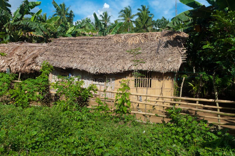 Building A Primitive Home