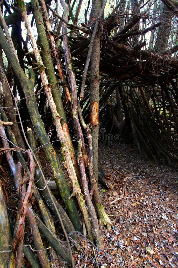 Primitive Log Shelter Illinois Stock Photo - Image of pine, shack: 53974698