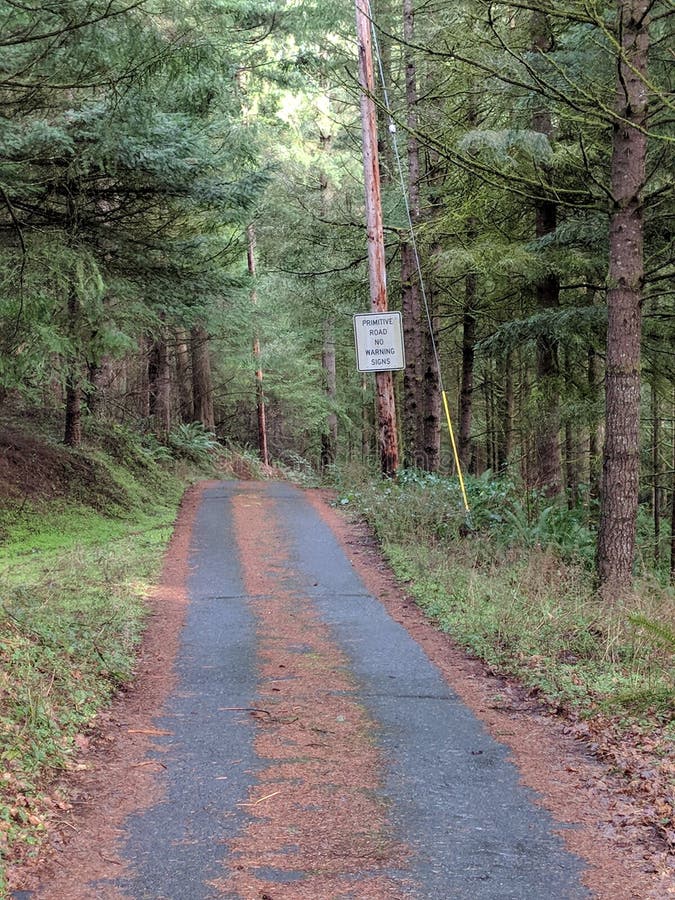 Primitive road stock photo. Image of primitive, drive - 109637892