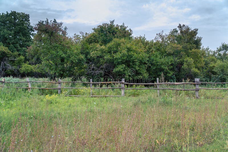 Primitive Rustic Wooden Fence in Front of Forest Stock Image - Image of ...