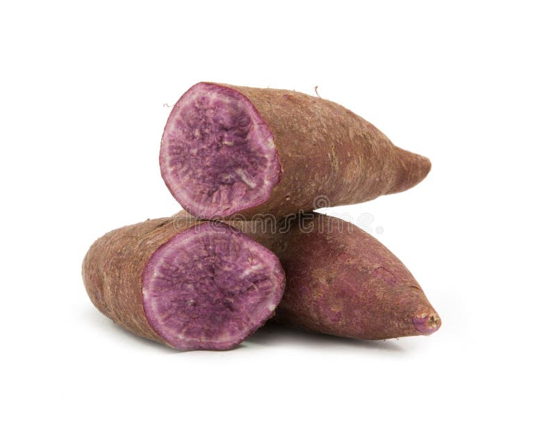 Primo Piano Della Manioca Delle Piante Di Tapioca Isolato Immagine ...