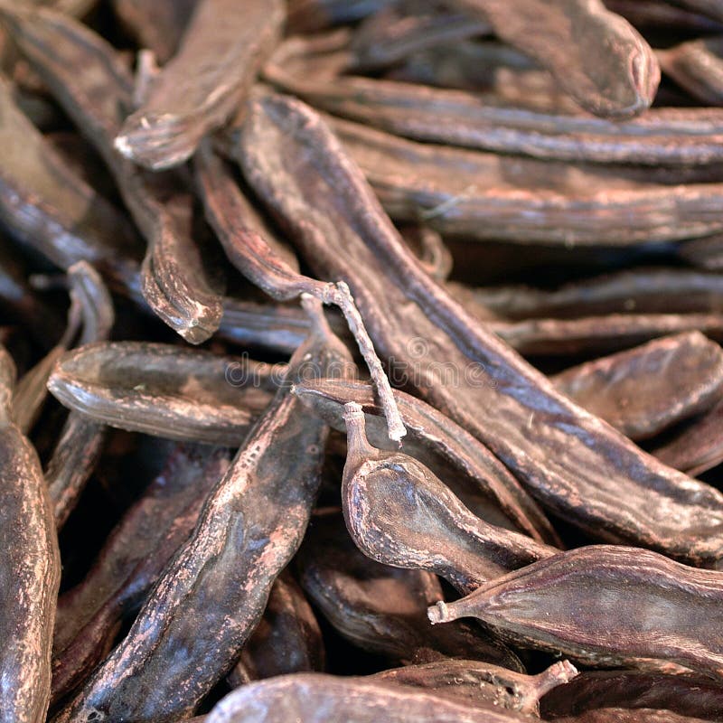 Le carrube immagine stock. Immagine di bambini, composizione - 79850167