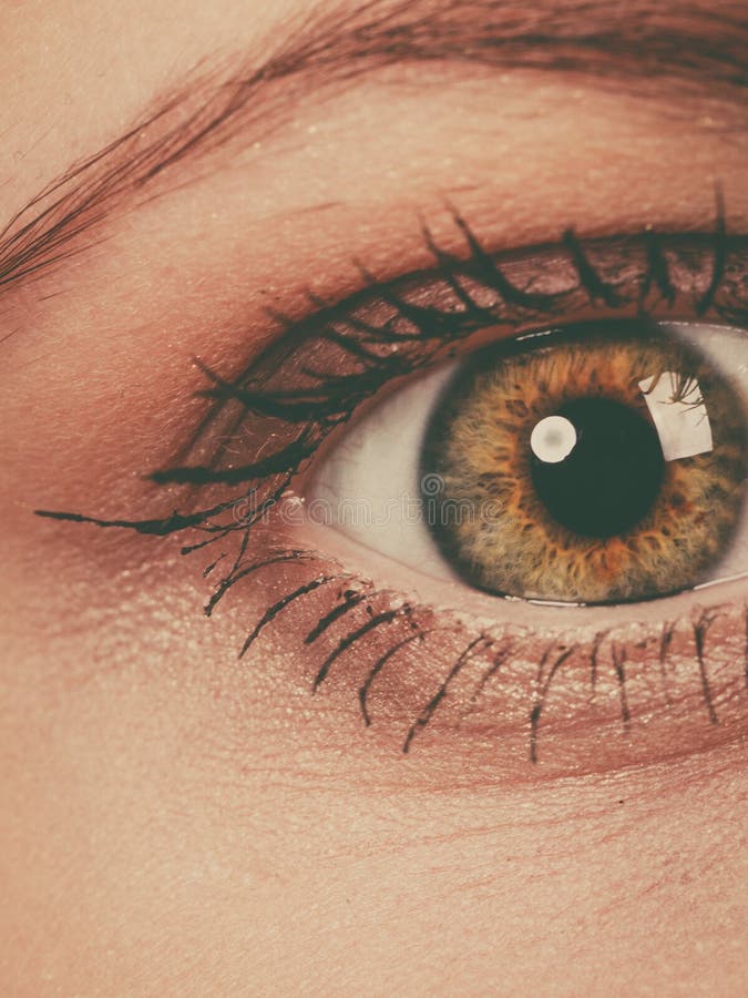 Primo Piano Dettagliato Dell'occhio Variopinto Della Donna Immagine ...