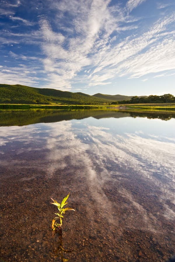 Primorye beautiful lake stock photo. Image of herb, beach - 15342314