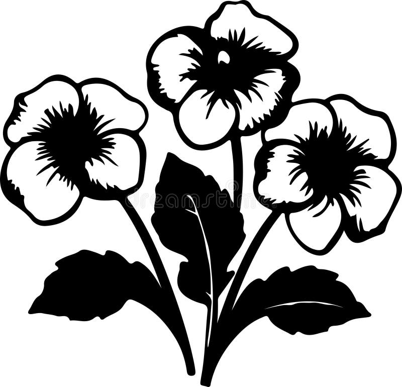 Black Primrose Stock Illustrations – 784 Black Primrose Stock ...