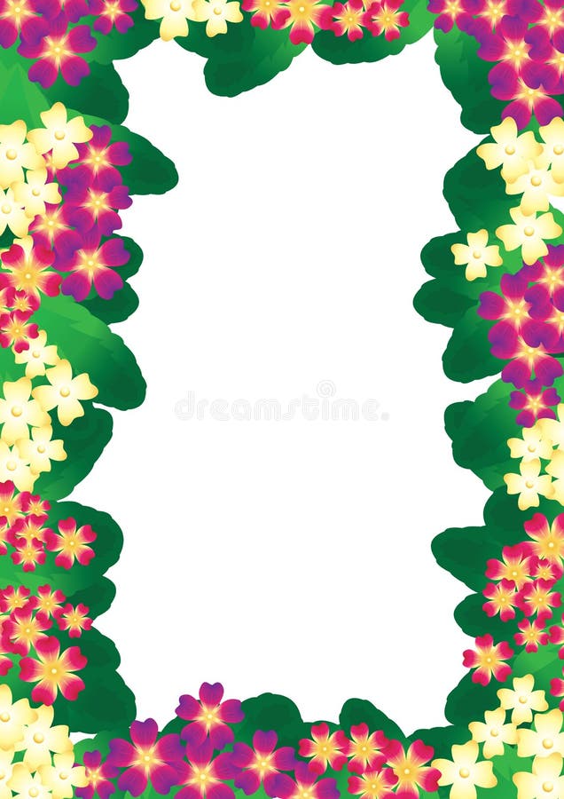 Spring Primrose Border Stock Illustrations – 513 Spring Primrose Border ...