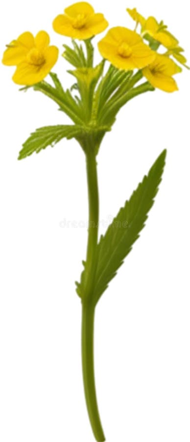 Primrose Clipart. a Cute Primrose Flower Icon. AI-Generated. Stock ...