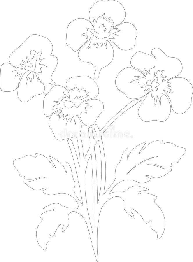 Primrose Outline Stock Illustrations – 628 Primrose Outline Stock ...