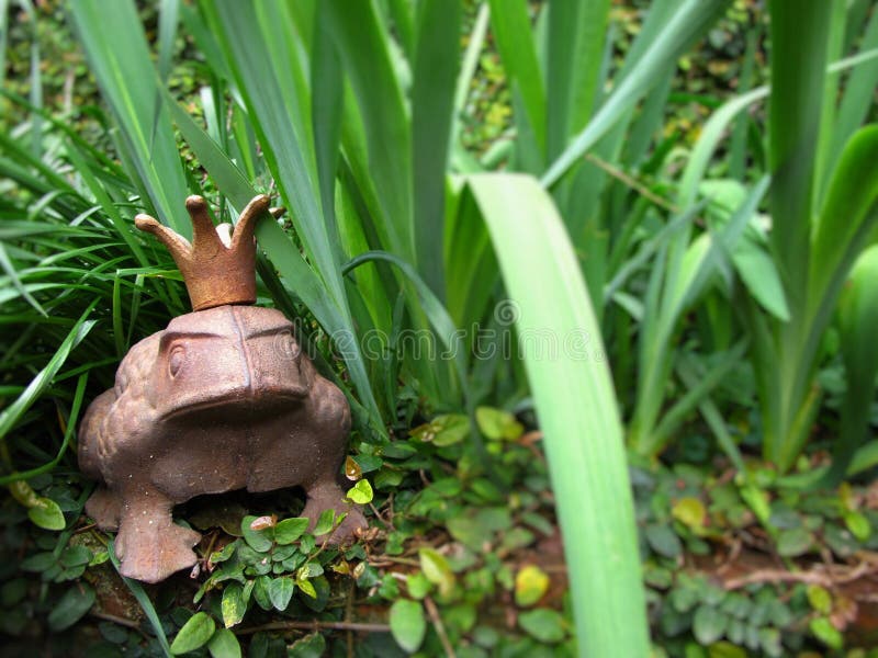 Prince charmig stock image. Image of green, frog, meet - 70460421