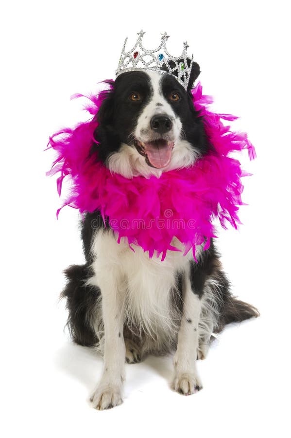 3,437 Princesa Crown En Fondo Rosado Fotos - Libres de Derechos y ...