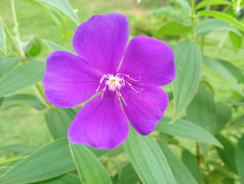 2,094 Synonym Workingon Stock Photos - Free & Royalty-Free Stock Photos ...