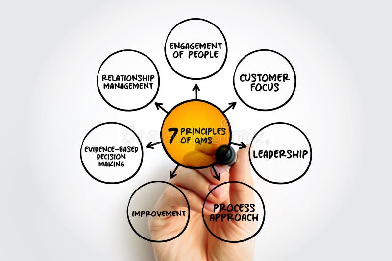 7 Principles of Quality Management System is a Collection of Business ...