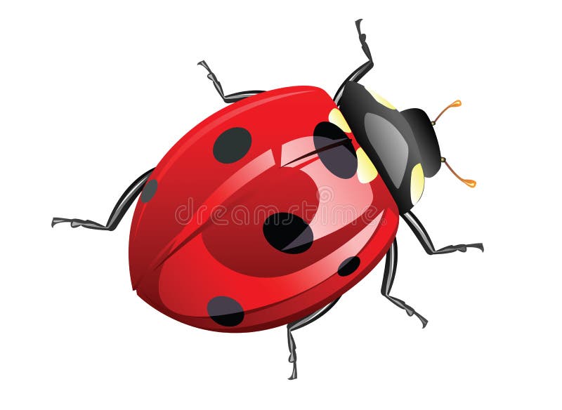 Cartoon Ladybug Posing Stock Illustrations – 126 Cartoon Ladybug Posing ...